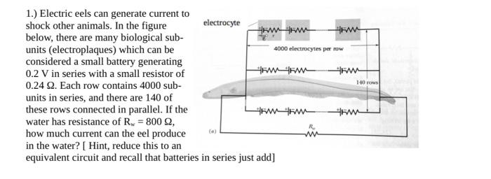 Solved 100 RON 1.) Electric eels can generate current to | Chegg.com