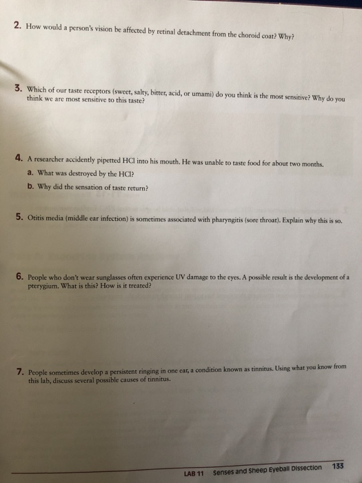 Solved ol fadory Cribitam epi-thelium Plate or elhmold | Chegg.com