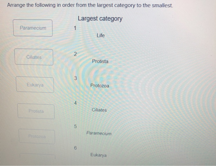 Solved Arrange the following in order from the largest | Chegg.com