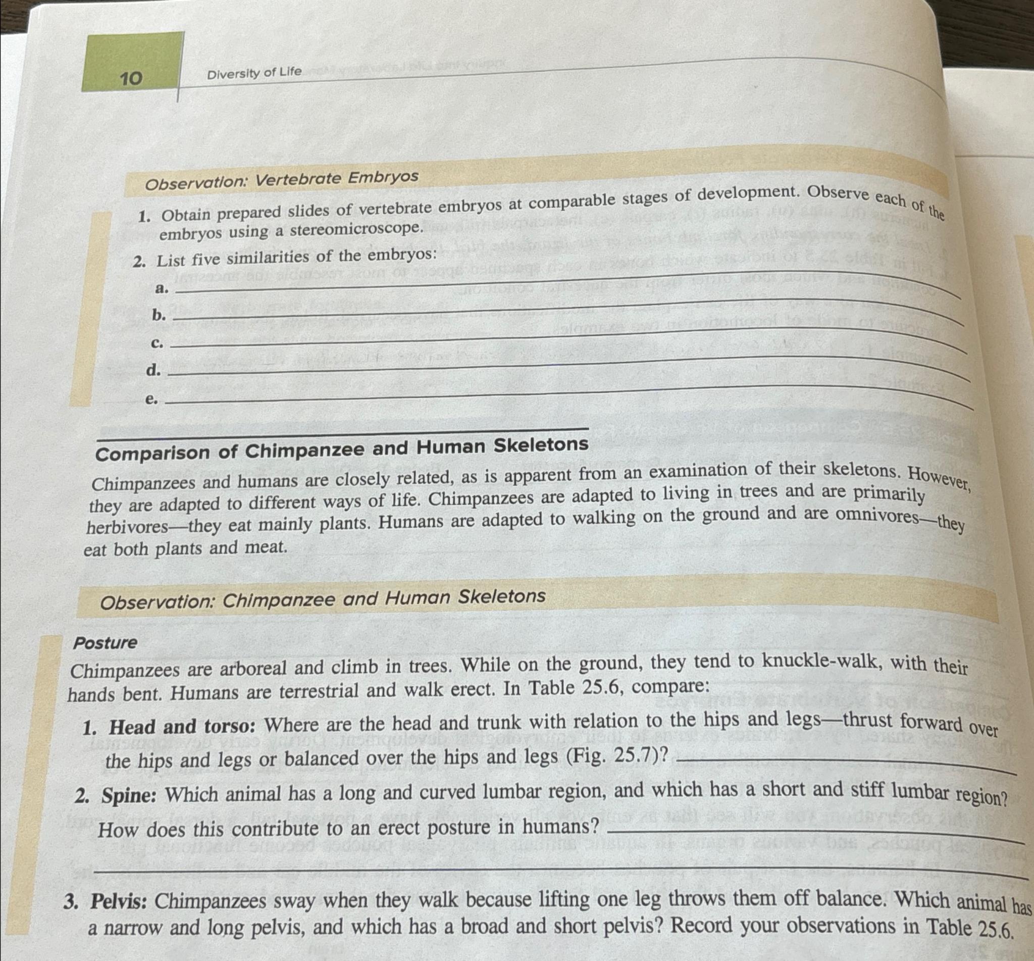 Solved 10Diversity of LifeObservation: Vertebrate | Chegg.com