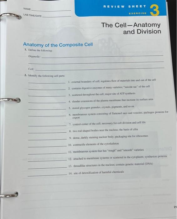 Solved Observing Differences and Similarities in Cell | Chegg.com