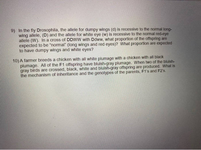 Solved 9) In the fly Drosophila, the allele for dumpy wings | Chegg.com