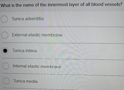 Solved What is the name of the innermost layer of all blood | Chegg.com
