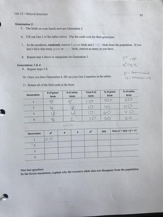 Solved Lab 12 - Natural Selection 93 Generation 2: 5. The | Chegg.com