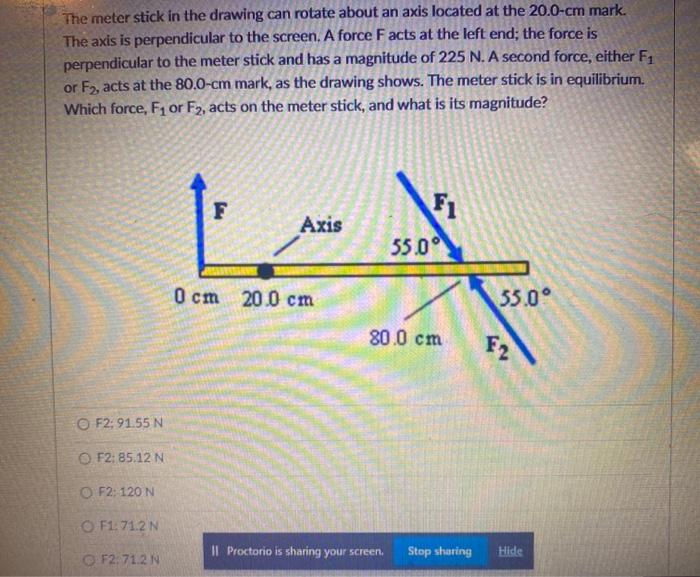 Solved The meter stick in the drawing can rotate about an | Chegg.com