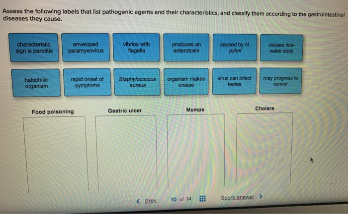 Solved Assess the following labels that list pathogenic | Chegg.com