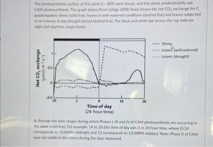 The photosynthetic surface of this plant is −80% stem | Chegg.com