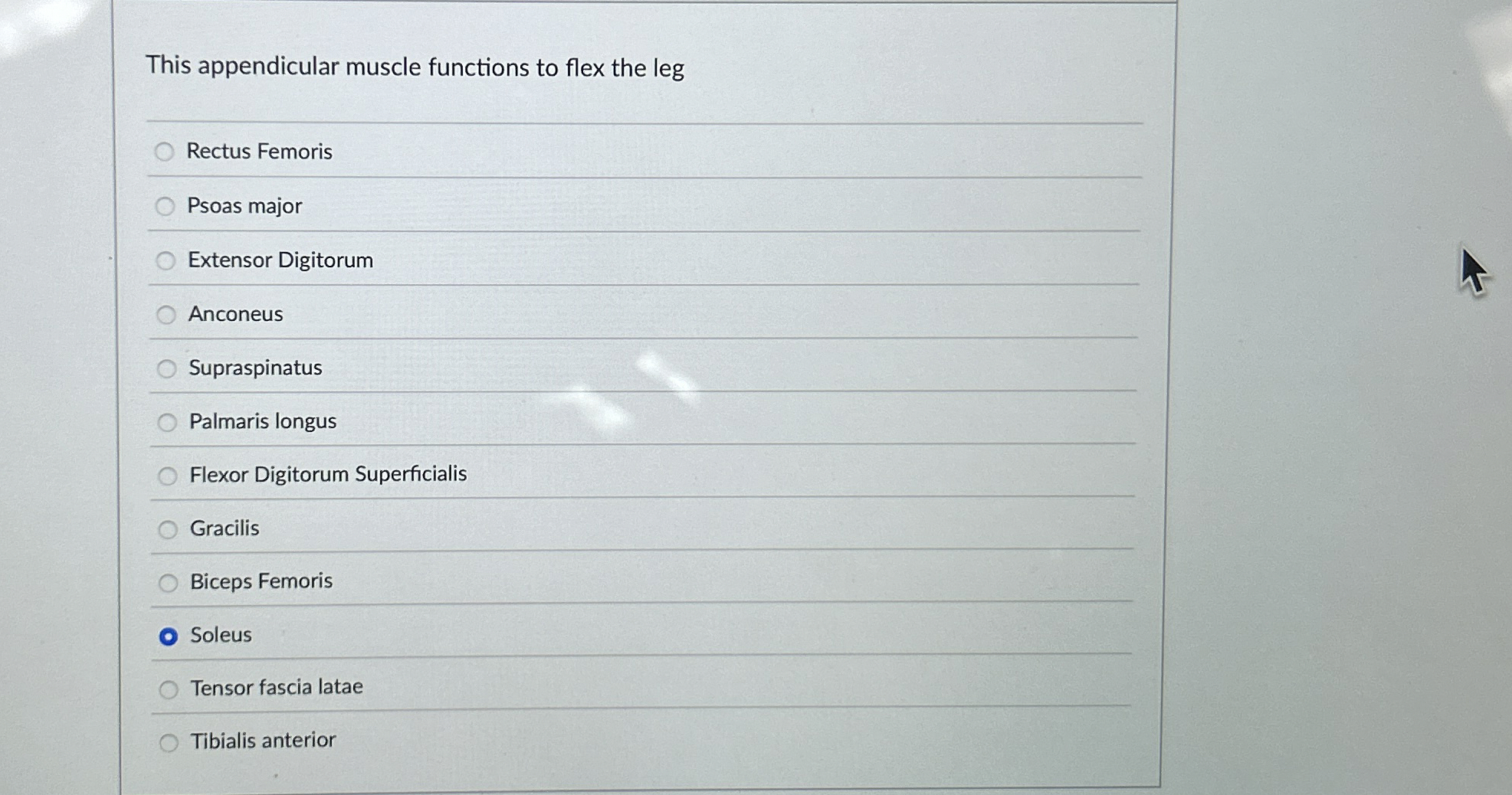 Solved This appendicular muscle functions to flex the | Chegg.com