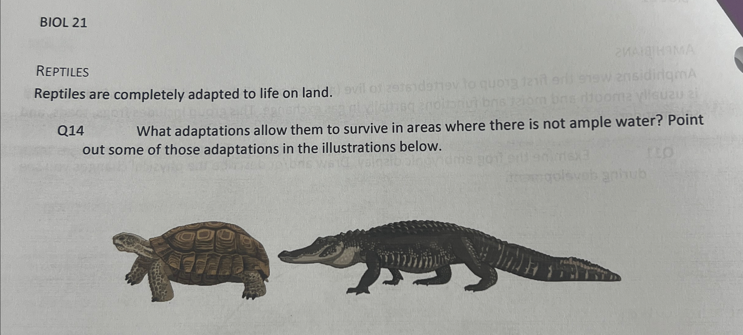 Solved BIOL 21REPTILESReptiles are completely adapted to | Chegg.com