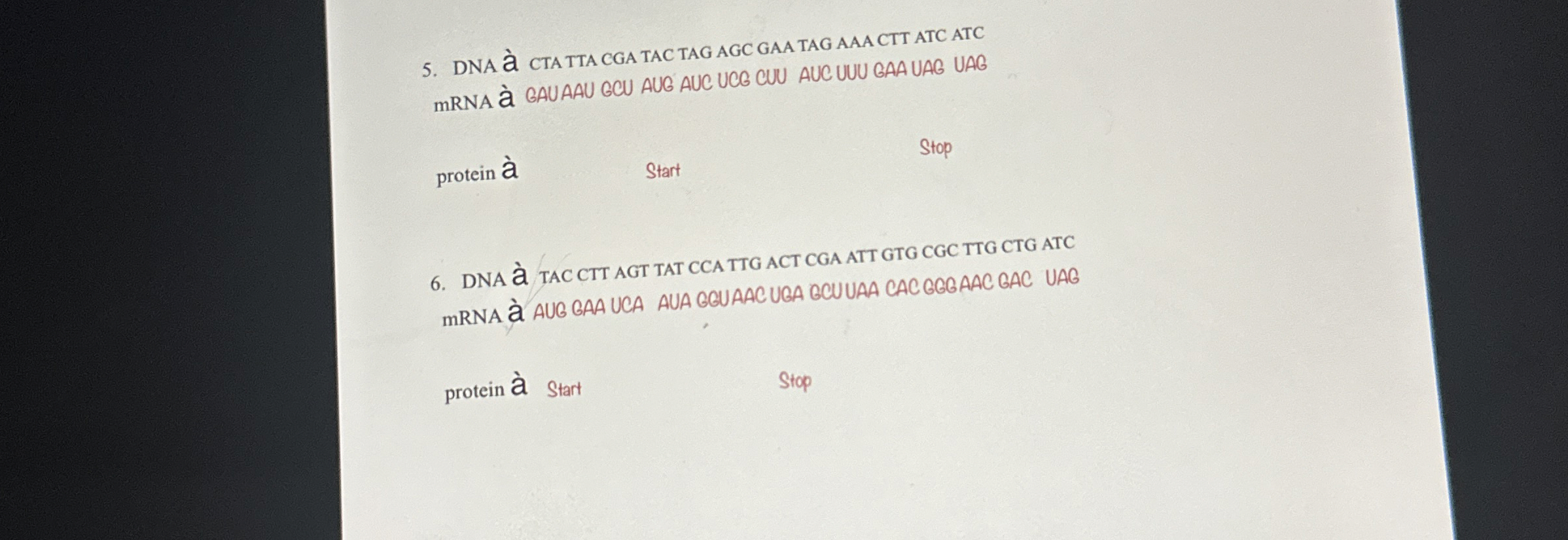 Solved DNA à ﻿CTA tTA CGA TAC TAG AGC GAA TAG AAACTT ATC ATC | Chegg.com