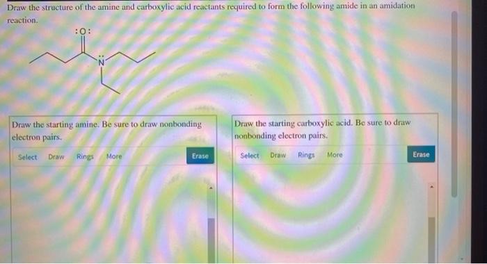 Solved Draw the structure of the amine and carboxylic acid | Chegg.com