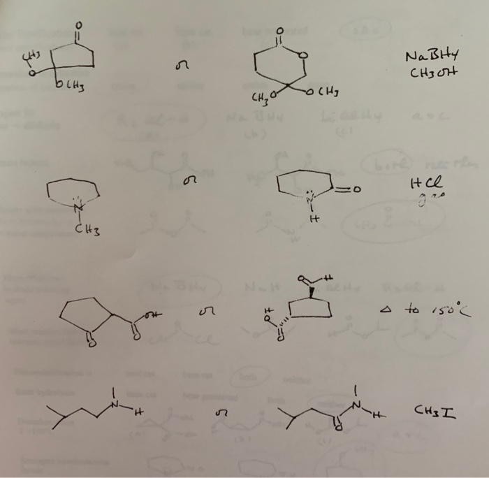 Solved State in words the most reactive member of each pair | Chegg.com