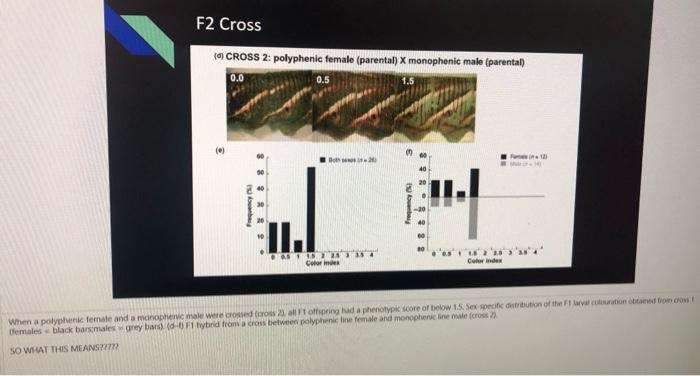 Solved F2 Cross CROSS 2: polyphenic female (parental) X | Chegg.com