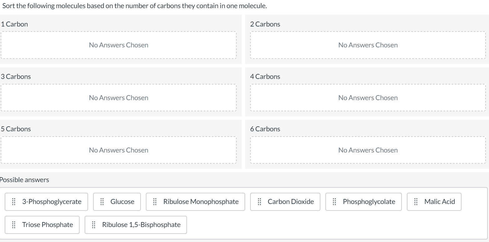 Solved Sort the following molecules based on the number of | Chegg.com
