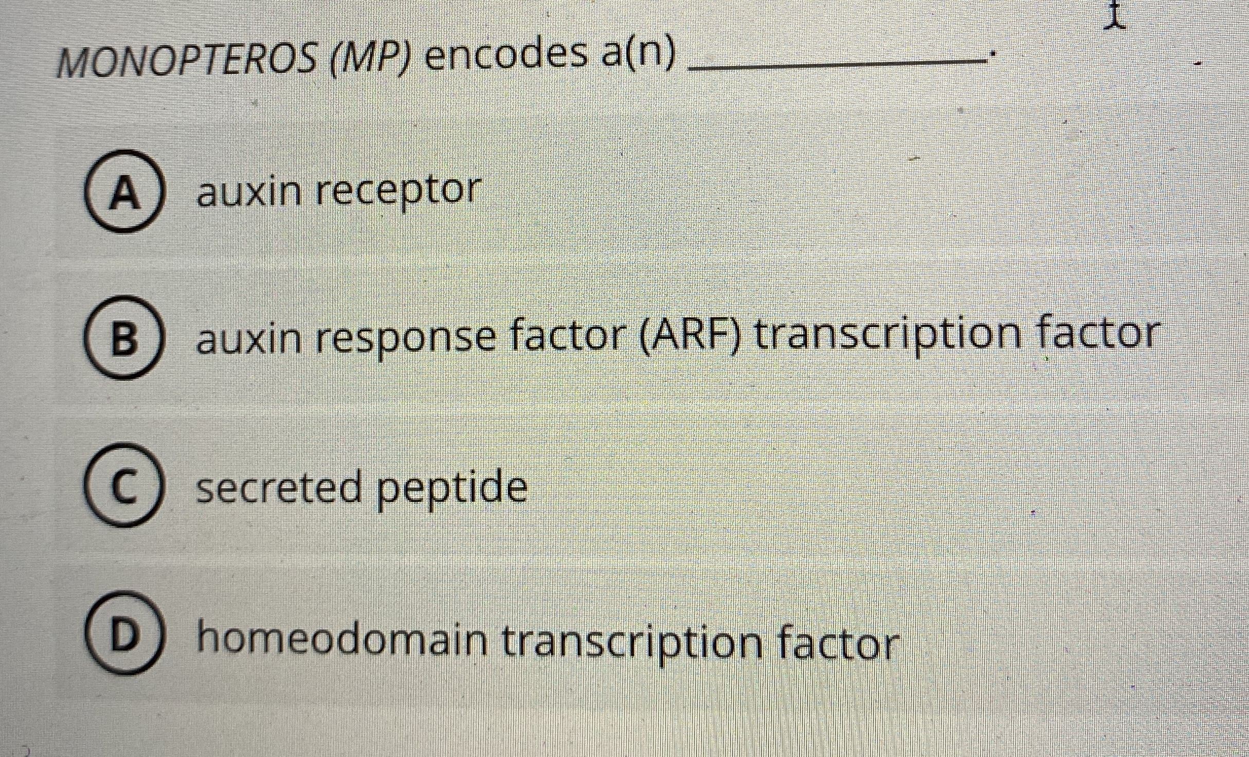 Solved MONOPTEROS (MP) ﻿encodes a(n) q,auxin receptorauxin | Chegg.com