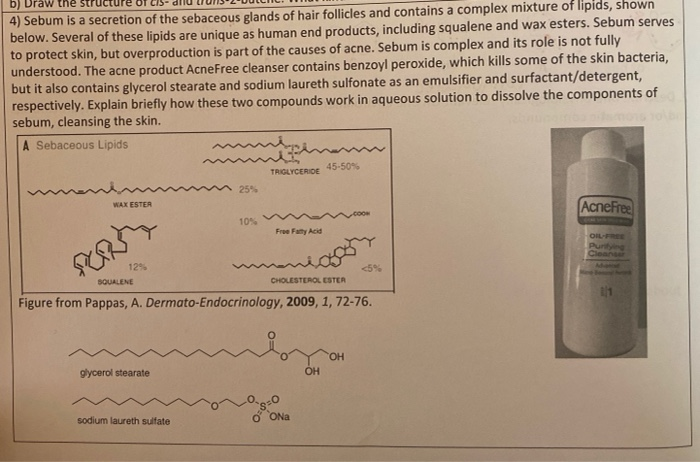 Solved b) Draw the 4) Sebum is a secretion of the sebaceous | Chegg.com