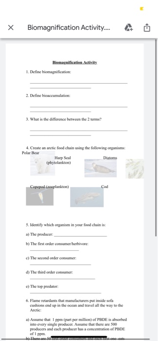 Solved х Biomagnification Activity.... Biomagnification | Chegg.com