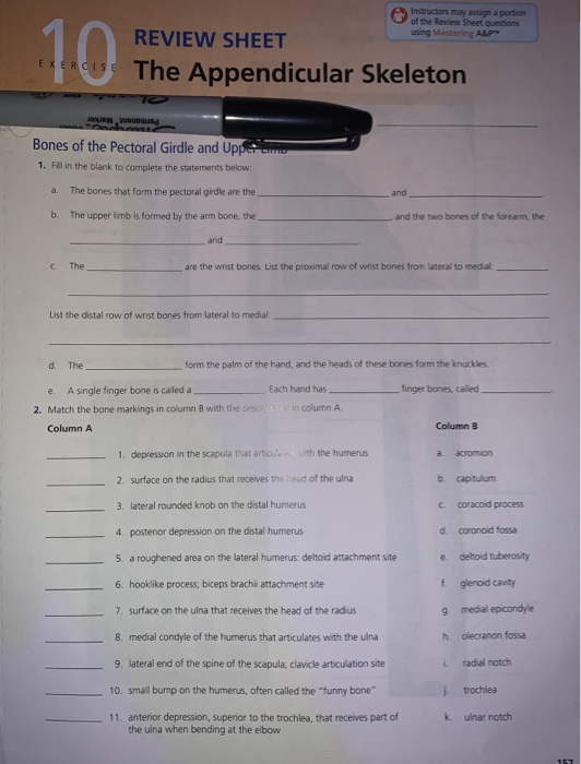 Solved Instructors may assign a portion of the Review Sheet | Chegg.com