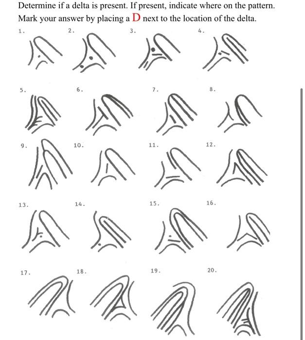 Solved Determine if a core is present. If present, indicate | Chegg.com