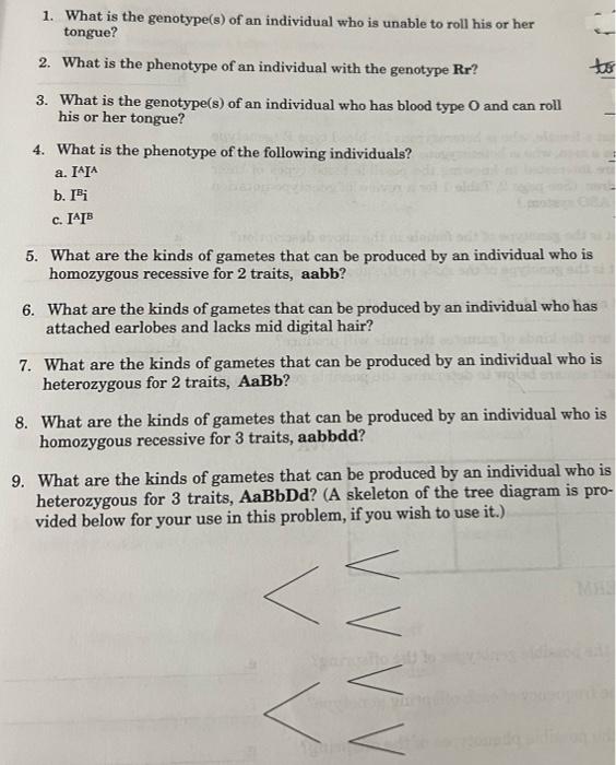 1. What is the genotype(s) of an individual who is | Chegg.com