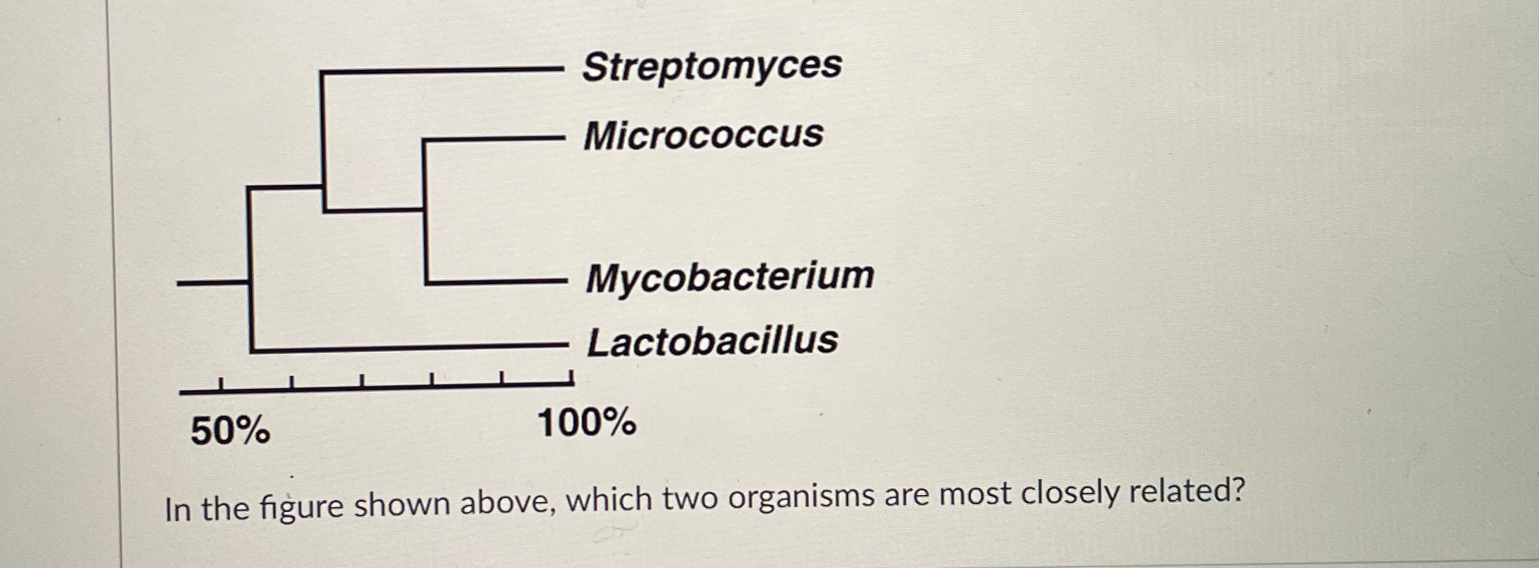 Solved In the figure shown above, which two organisms are | Chegg.com