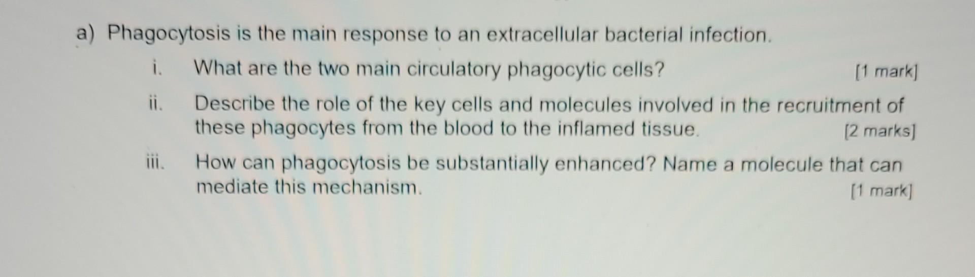 Solved a) Phagocytosis is the main response to an | Chegg.com