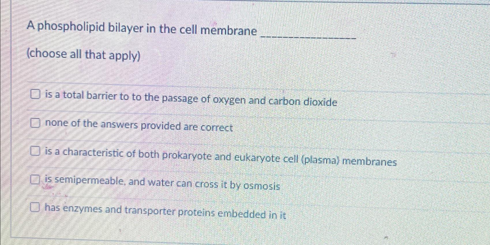 Solved A phospholipid bilayer in the cell membrane(choose | Chegg.com