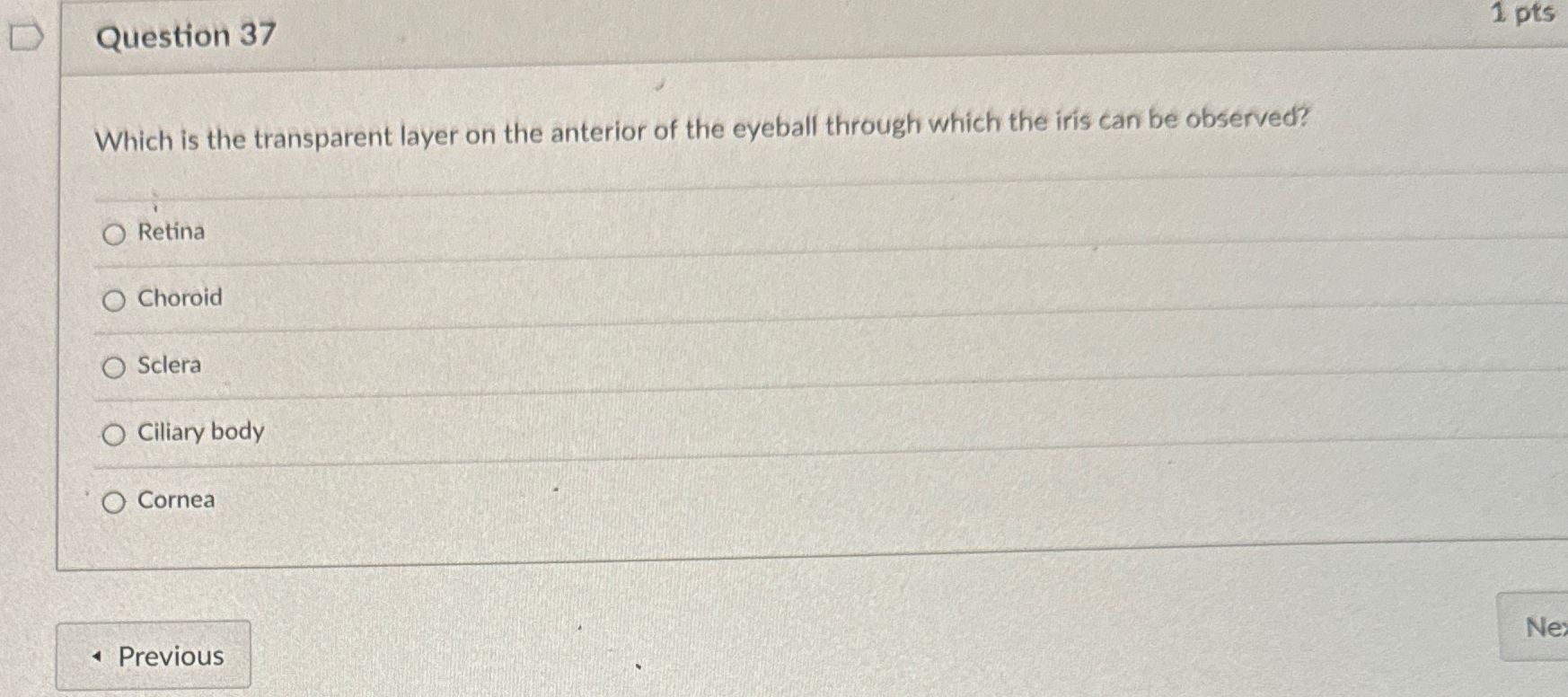 Solved Question 371 ﻿ptsWhich is the transparent layer on | Chegg.com