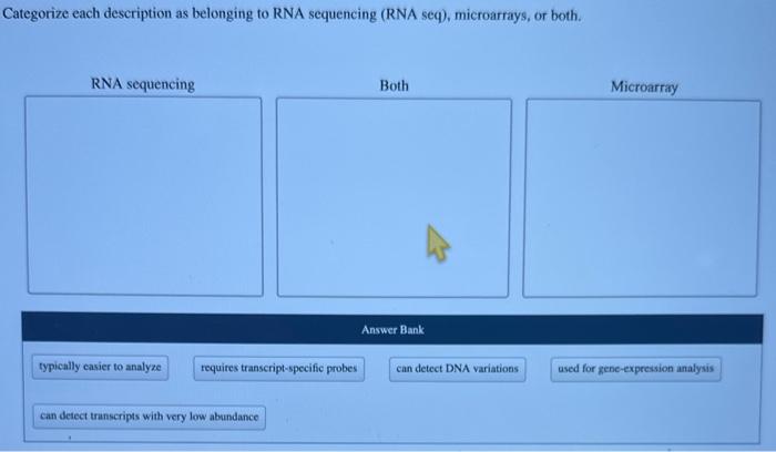 Categorize each description as belonging to RNA | Chegg.com Categorize each description as belonging to RNA | Chegg.com
