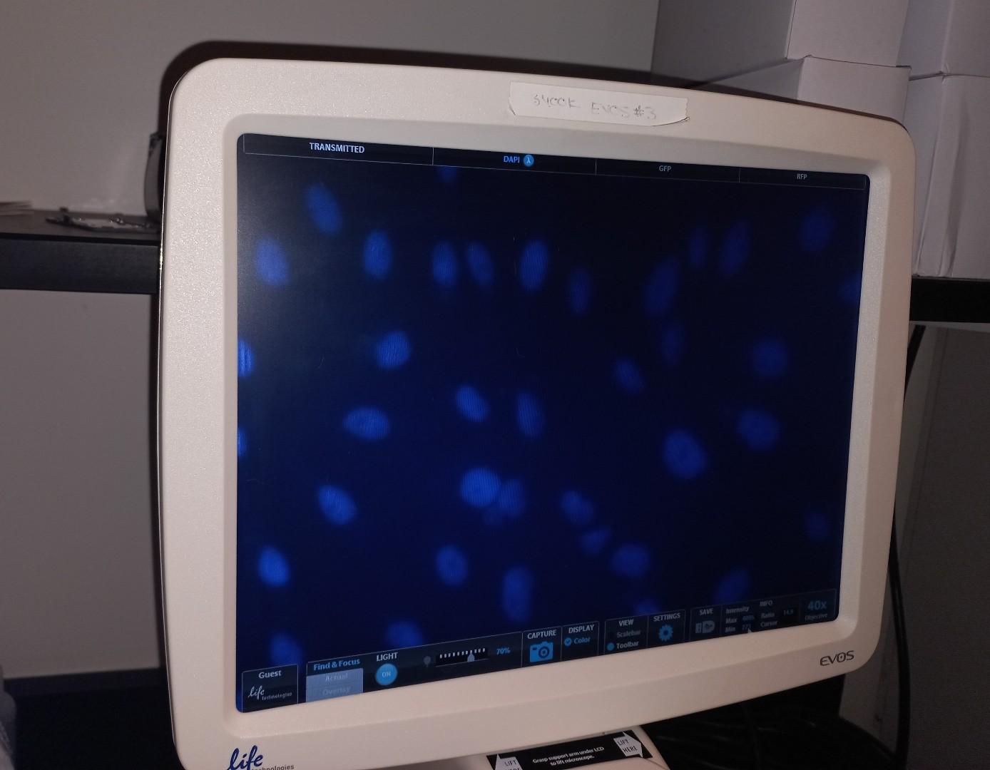 Solved 8: Acquiring Images with EVOS Microscope Lab Goal: - | Chegg.com
