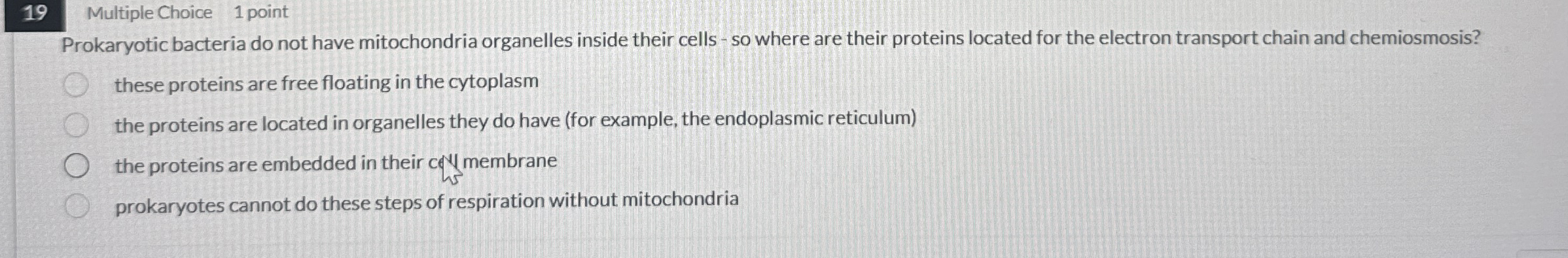 Solved 19Multiple Choice 1 ﻿pointProkaryotic bacteria do not | Chegg.com