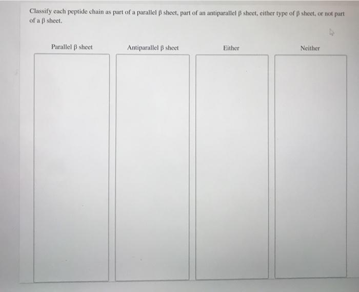Solved Classify each peptide chain as part of a parallel B | Chegg.com