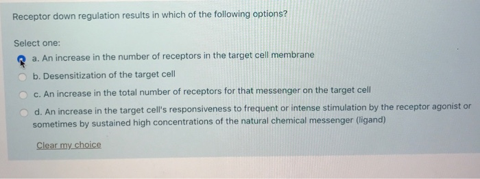 Solved Receptor down regulation results in which of the | Chegg.com