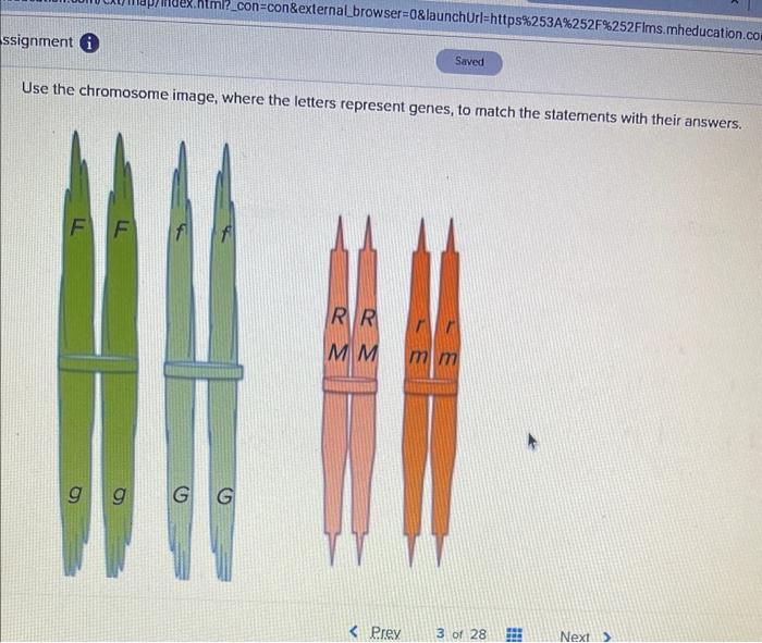 Use the chromosome image, where the letters represent | Chegg.com