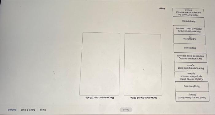 Solved Seved Help Save & Exit Submit Emotional excitement | Chegg.com