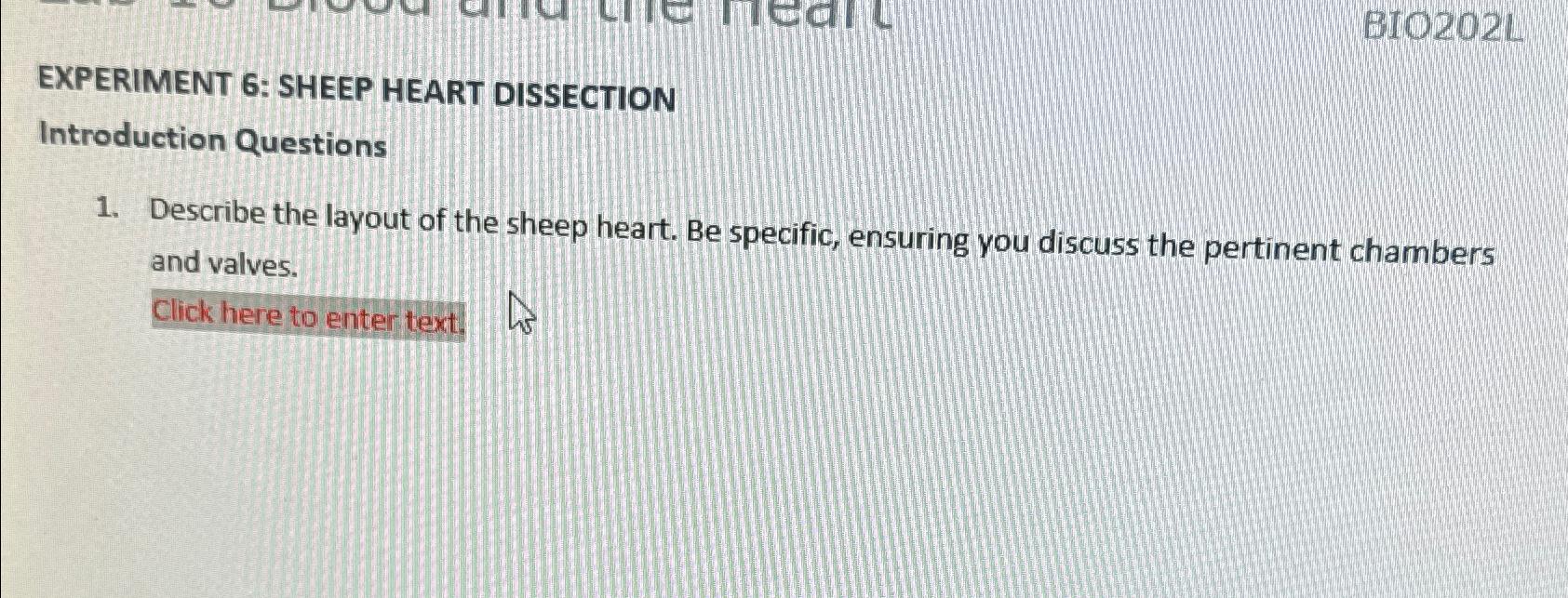 Solved EXPERIMENT 6: SHEEP HEART DISSECTIONIntroduction | Chegg.com