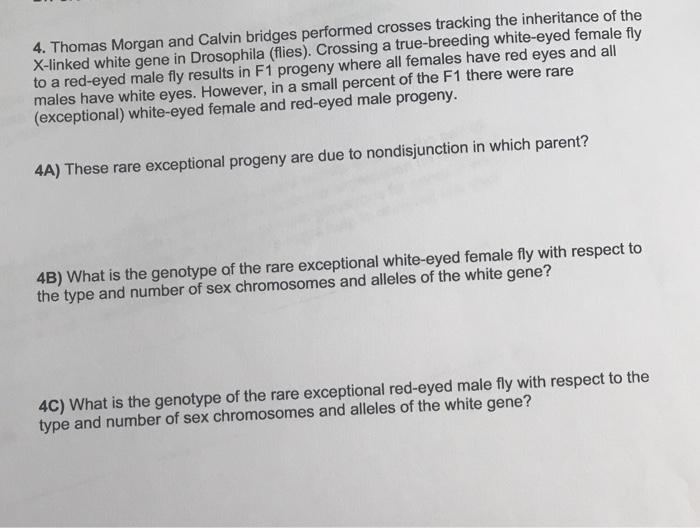 Solved 4. Thomas Morgan and Calvin bridges performed crosses | Chegg.com