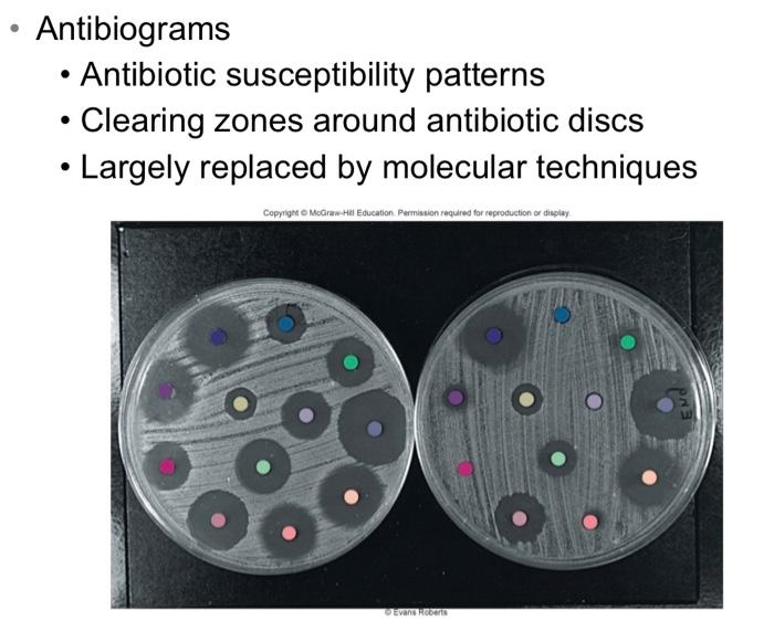 Solved 22. What is an antibiogram? Look at the figure on | Chegg.com
