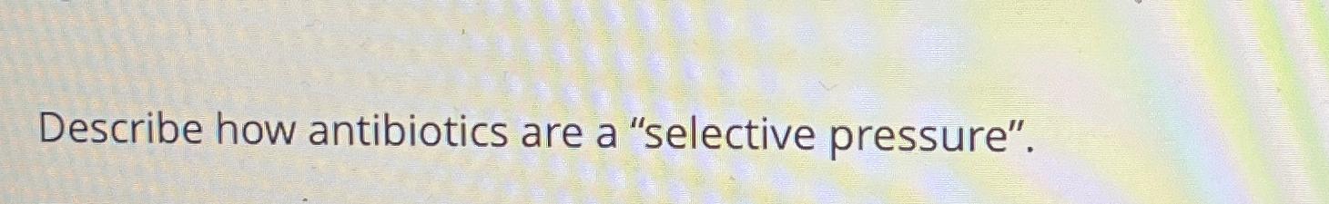 Solved Describe how antibiotics are a "selective pressure". | Chegg.com