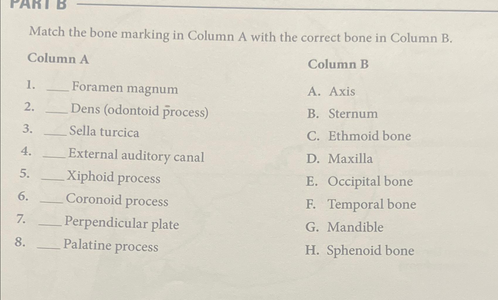 Solved Match the bone marking in Column A with the correct | Chegg.com