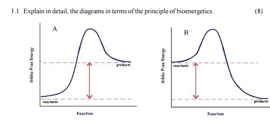 Solved 1.1 Explain in detail, the diagrams in terms of the | Chegg.com