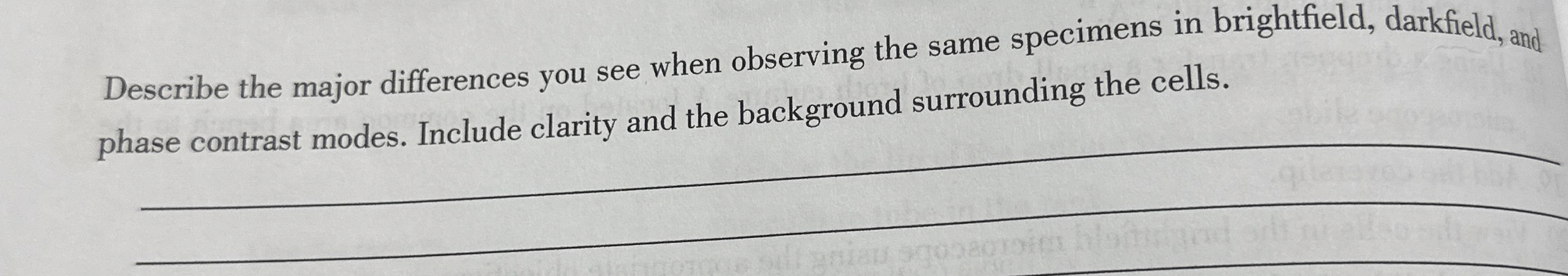 Solved Describe the major differences you see when observing | Chegg.com