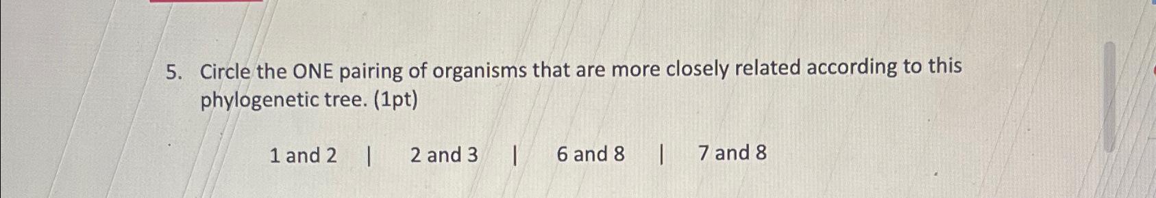 Solved Circle the ONE pairing of organisms that are more | Chegg.com