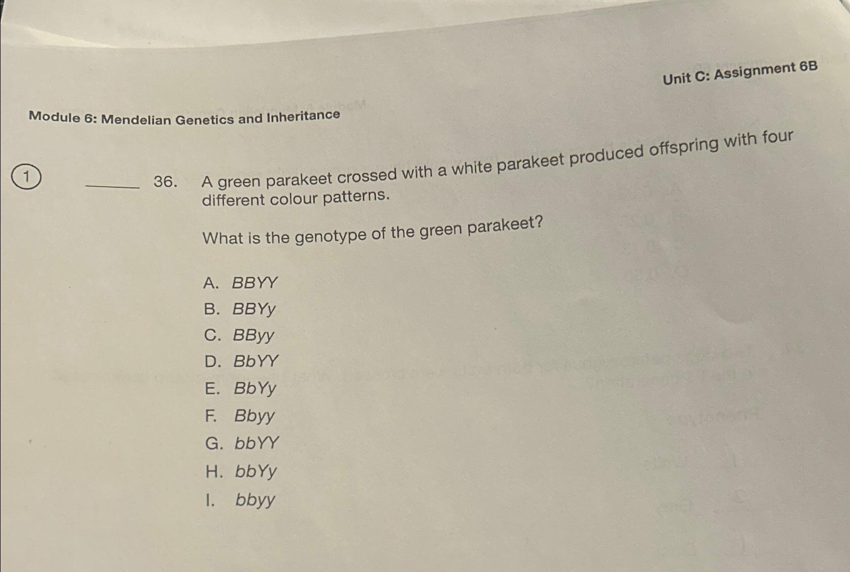 Solved Unit C: Assignment 6BModule 6: Mendelian Genetics and | Chegg.com