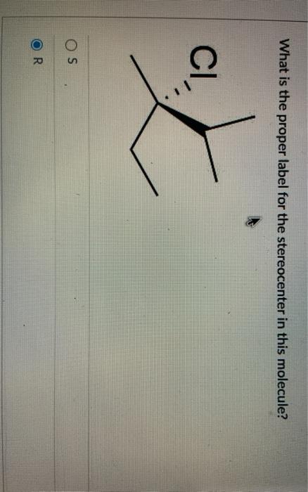 Solved What is the proper label for the stereocenter in this | Chegg.com
