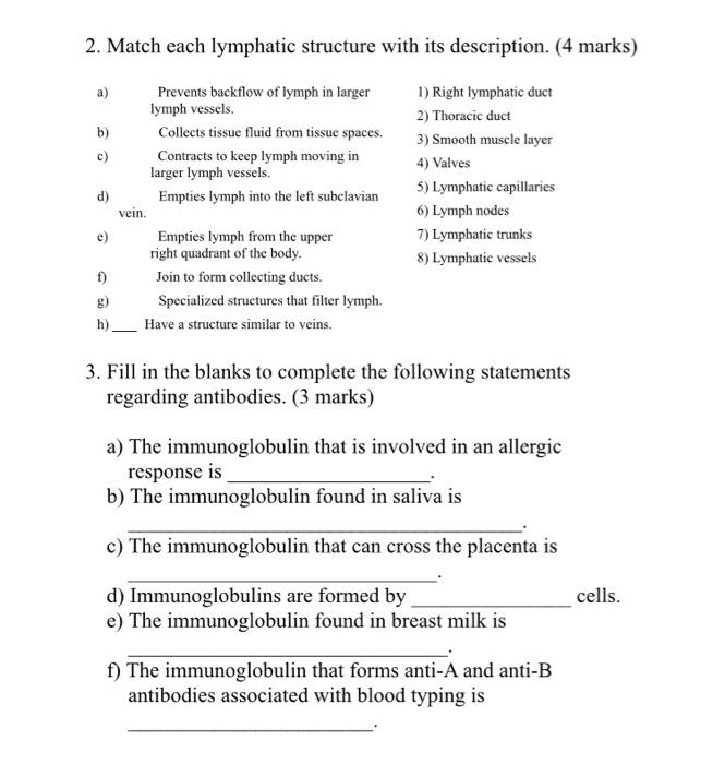 Solved 2. Match each lymphatic structure with its | Chegg.com
