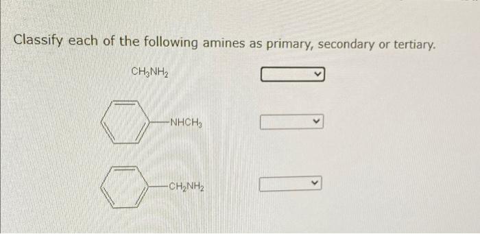 Solved Classify each of the following amines as primary, | Chegg.com
