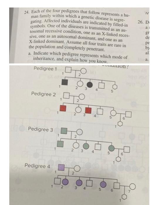 24. Each of the four pedigrees that follow represents | Chegg.com