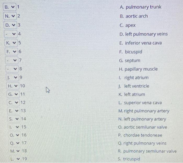 Solved Match each numbered structure to the correct name. 18 | Chegg.com