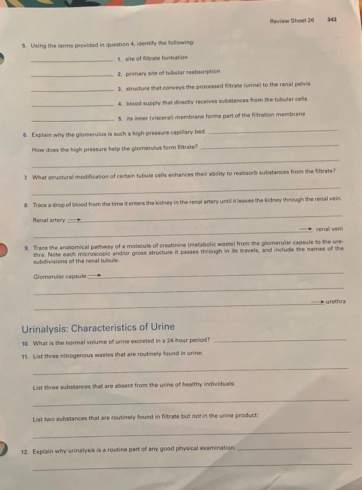 Solved 5. Using the terms provided in question 4, identify | Chegg.com